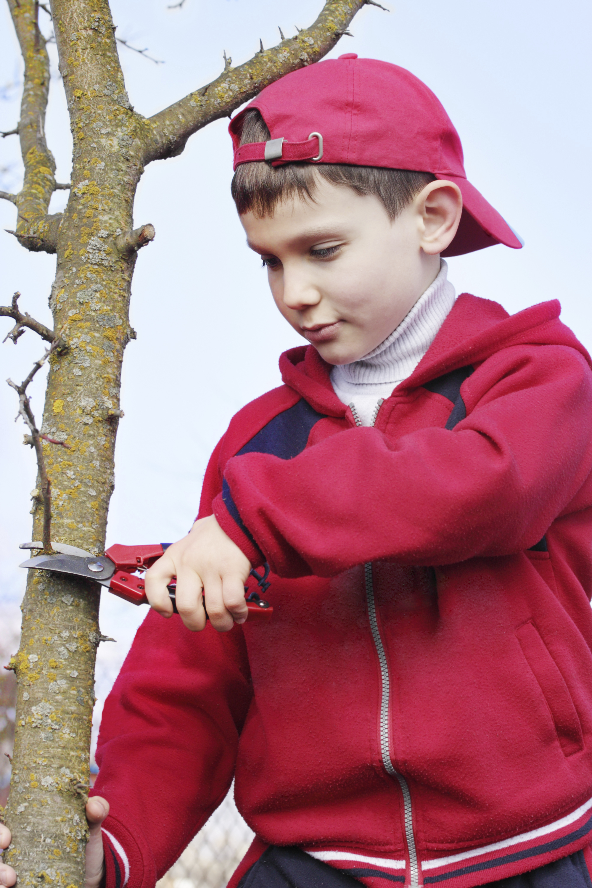 Spring Landscaping Photo - New Construction Homes